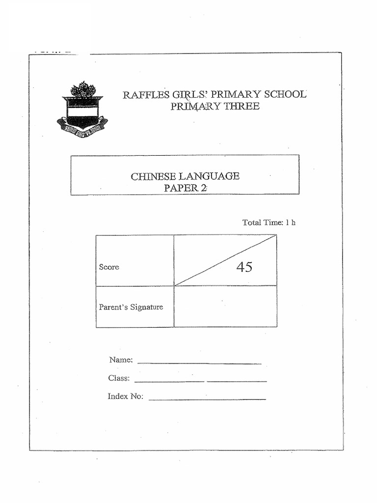 2024-P3-Chinese-Term 2 Review-Raffles Girls | PDF