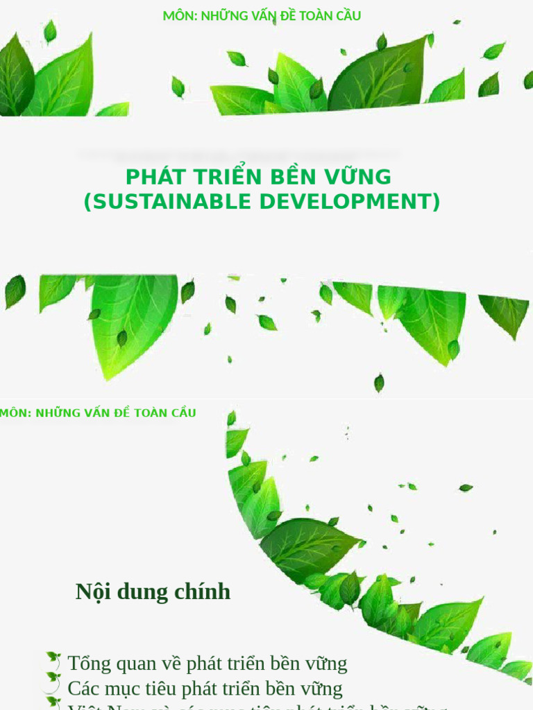 Nhung van de phat trien ben vung | PDF