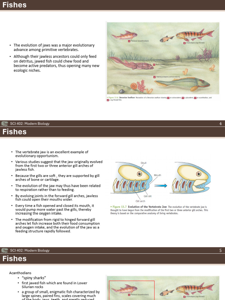 SCI 402 - Summarized Reports 2-2 | PDF | Fish