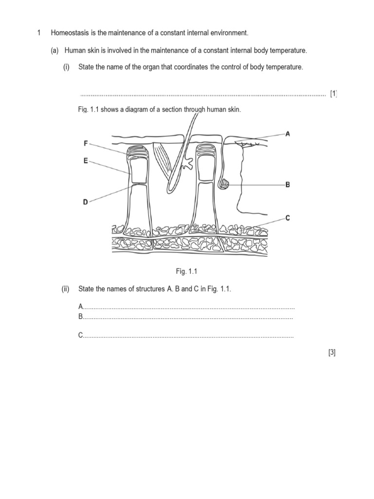 Biology 5090 Practice Test 2 | PDF | Genetics | Menstrual Cycle