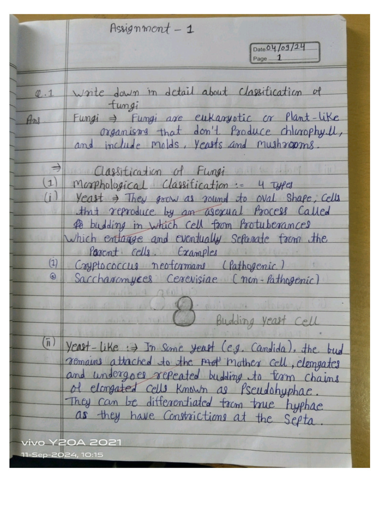 Micro. Assignment 1. Classification of fungi | PDF