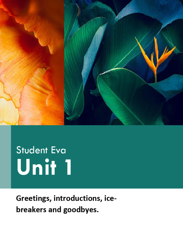 Greetings, Introductions, Ice-Breakers, Goodbyes | PDF