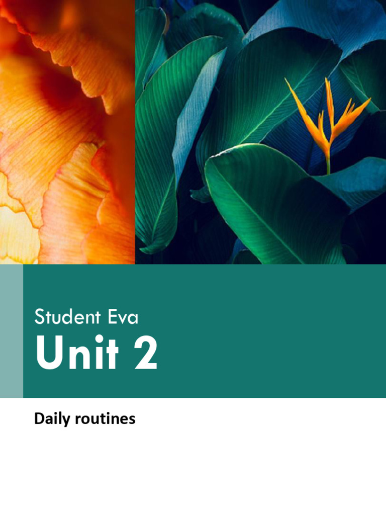 Unit 2 - Daily Routines | PDF | Lunch | Meal
