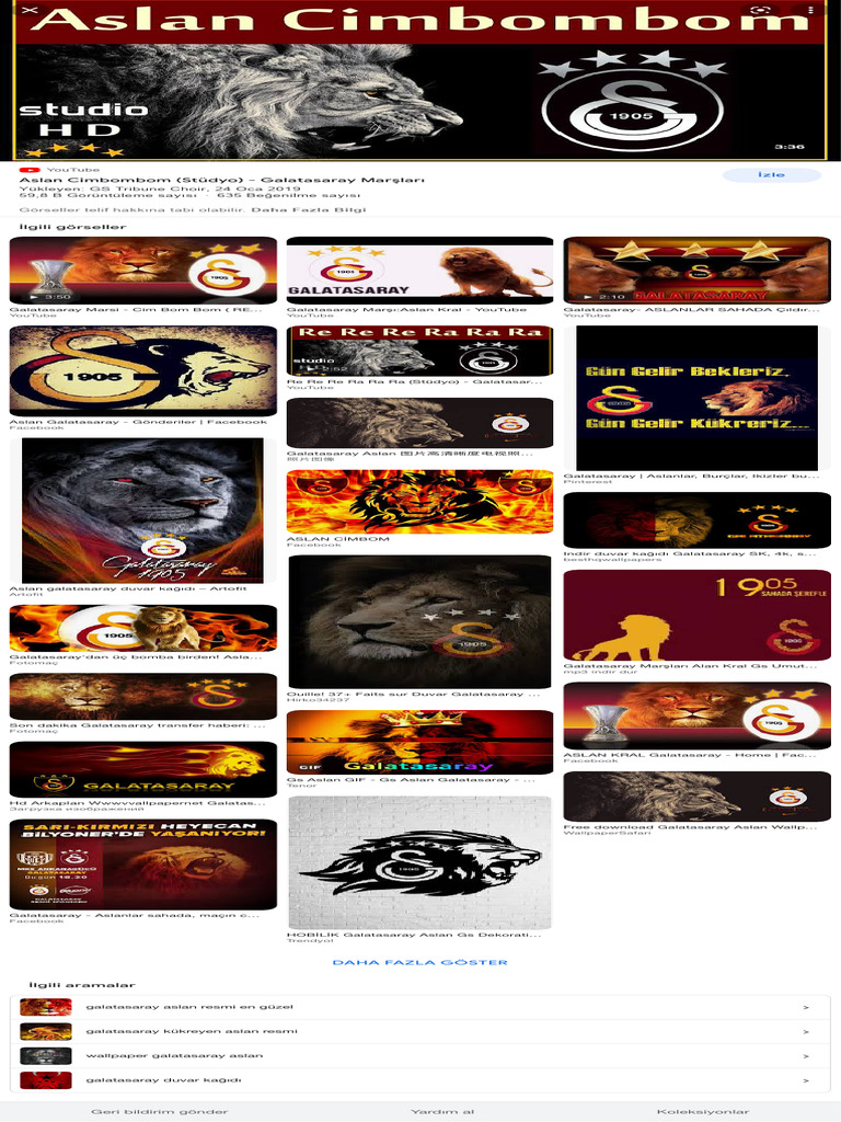 Aslan Gs - Google Arama 19 | PDF