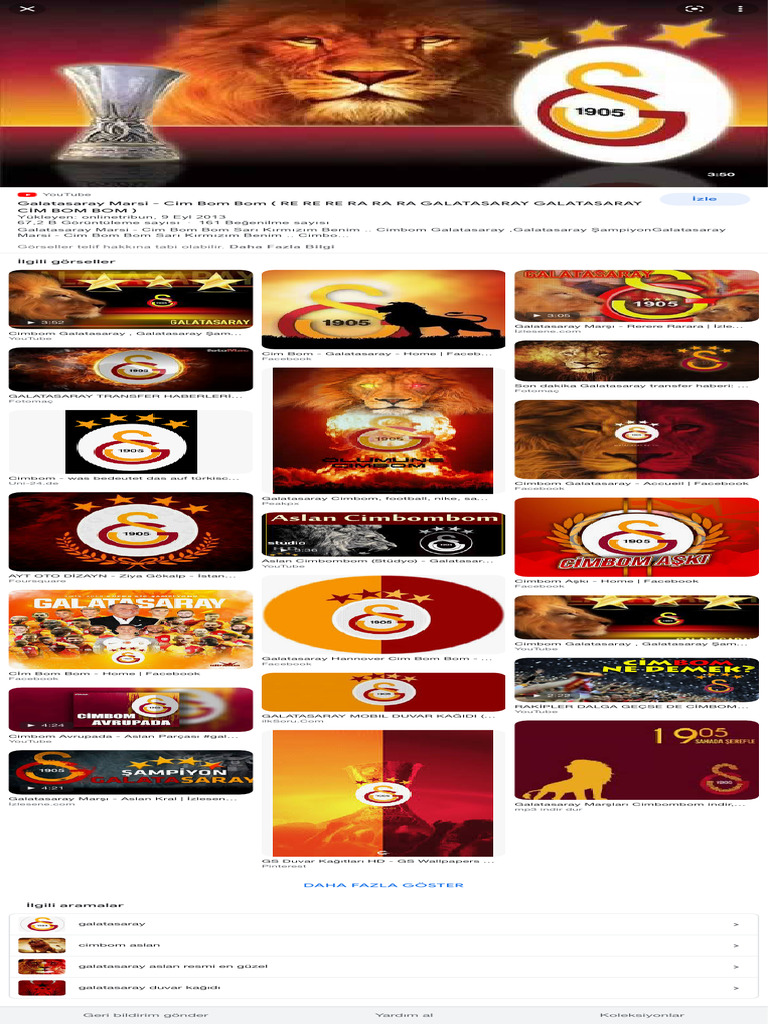 Aslan Gs - Google Arama 18 | PDF