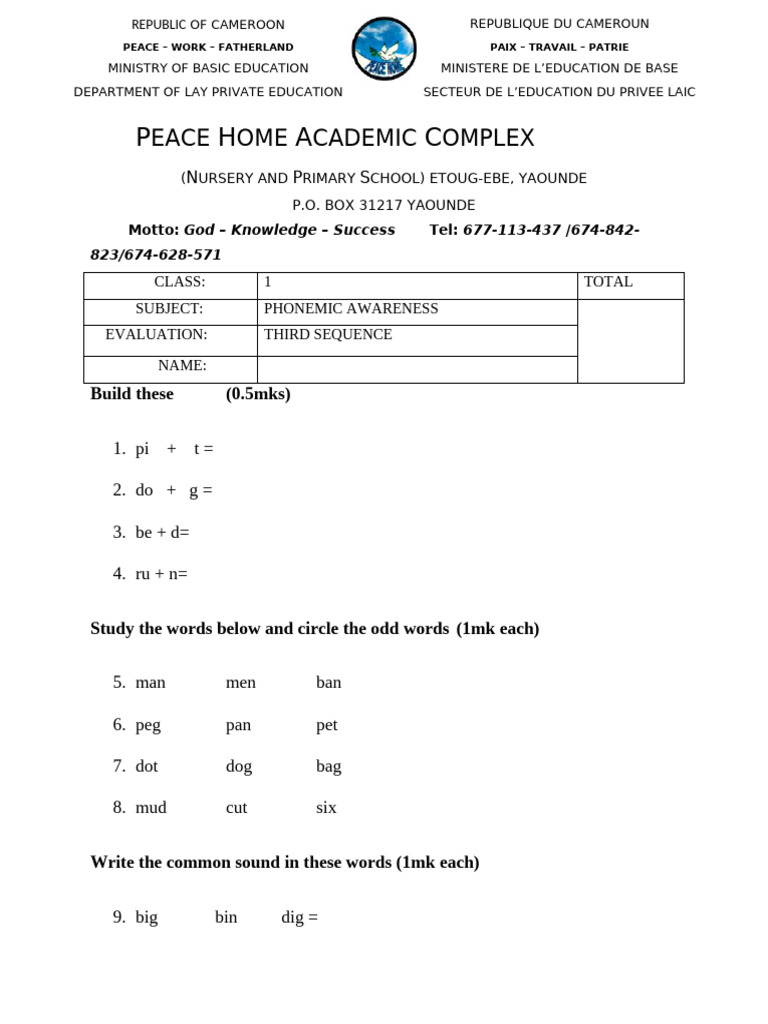 Class 1 Phonemic Awareness | PDF