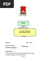 Grade 7 Natural Science Practical Task | PDF | Acid