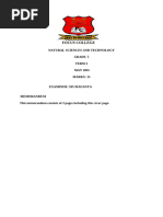Grade 6 NST Assessment Plan 2025 | PDF