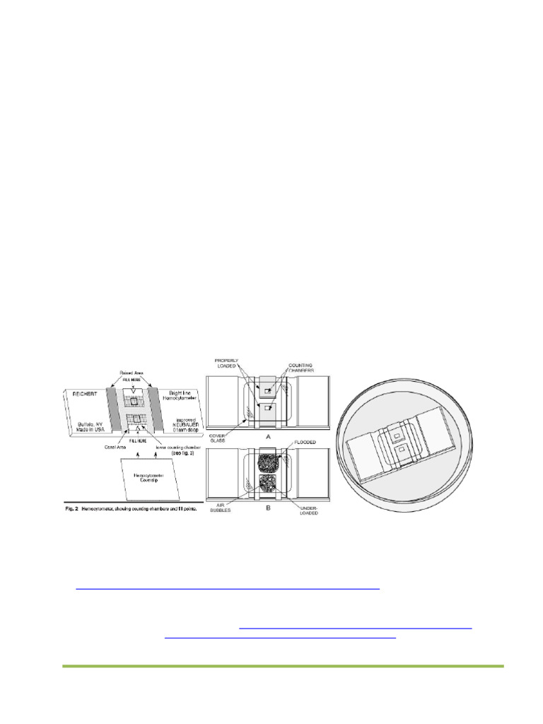 7-LAB 8 BF Cell Count Part 1 - Fall15 | PDF | Cerebrospinal Fluid ...