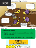 Osmosis Red Onion Cells | PDF | Osmosis | Biology