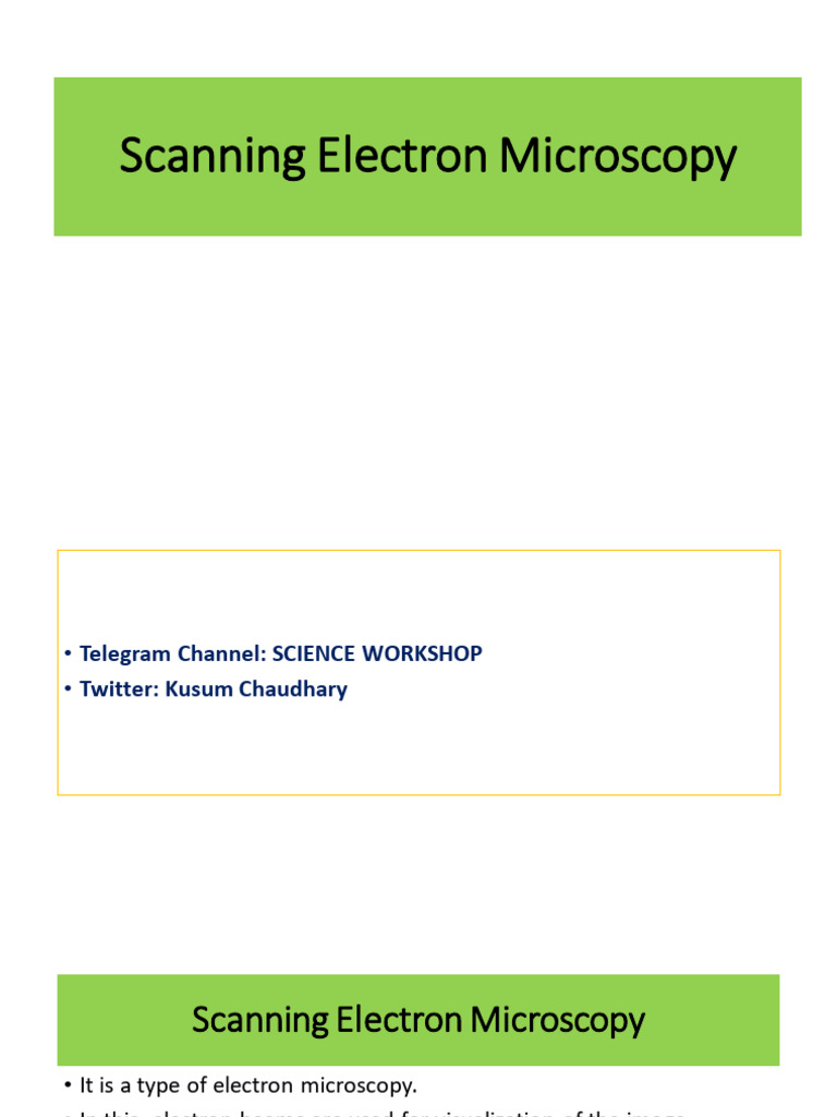 Scanning Electron Microscopy | PDF | Scanning Electron Microscope | Electron Microscope