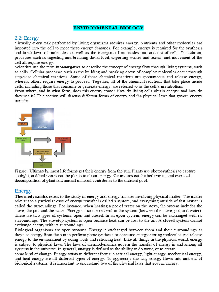 Environmental Biology Notes | PDF | Food Web | Photosynthesis