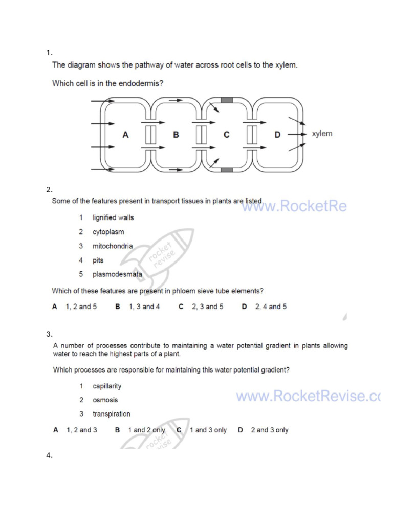 Bio MCQ | PDF