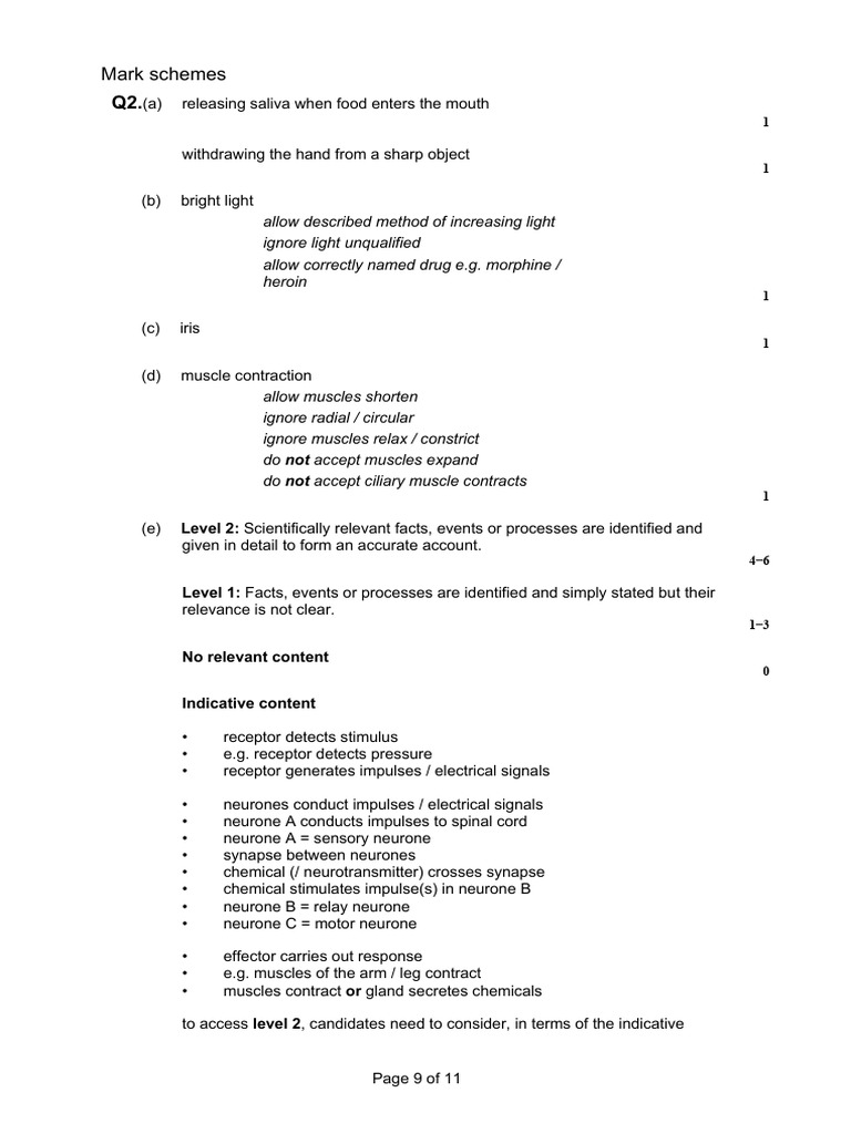 Nervous System Revision MS (1) | PDF | Neuron | Stimulus (Physiology)