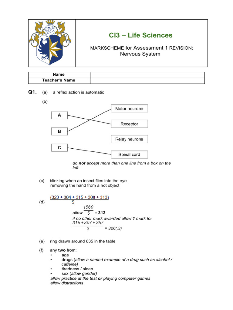 Cl3 Nervous System Revision MS | PDF | Stimulus (Physiology) | Neuron