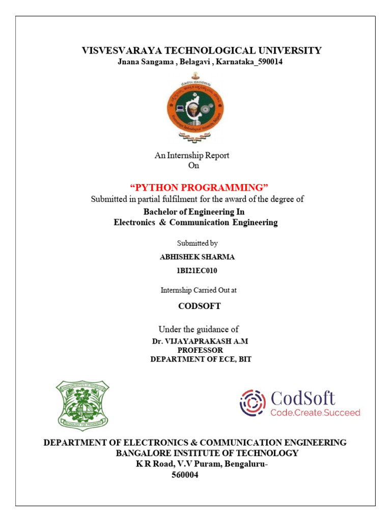 Python Programming Internship Report | PDF | Python (Programming ...