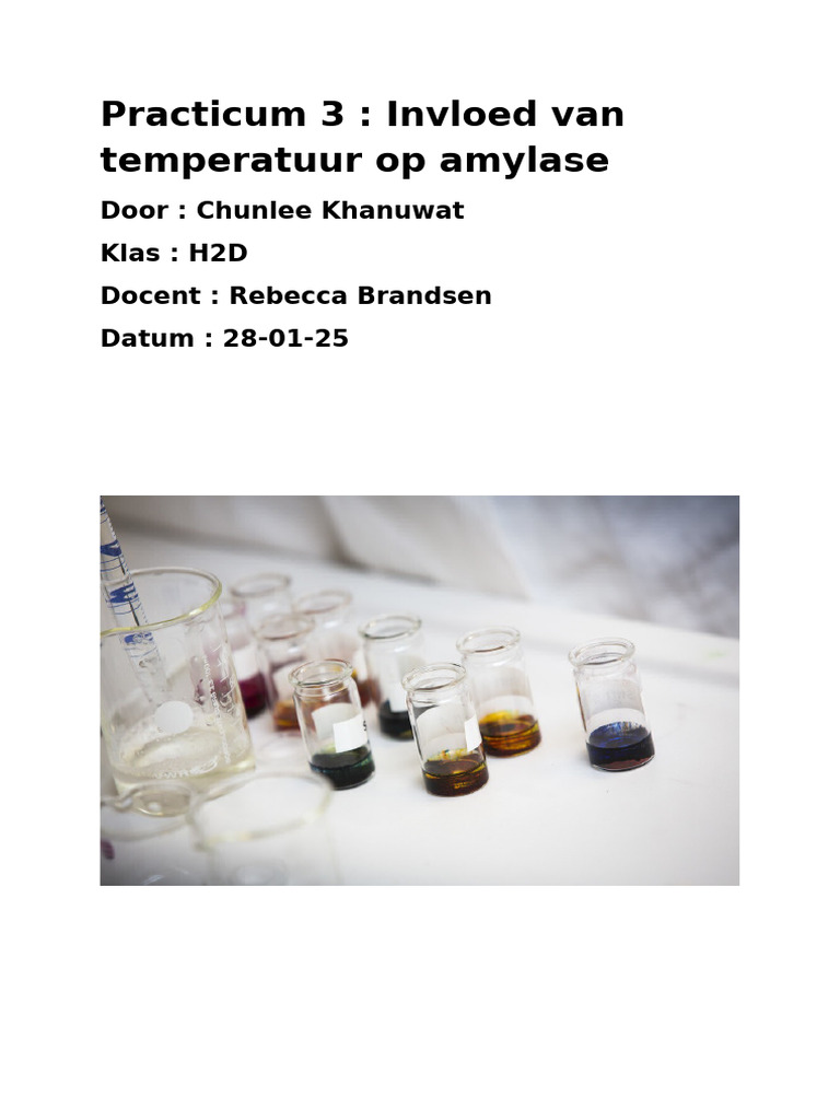 Verslag_Practicum3 | PDF