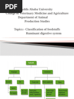 Classification of Animal Feed Types | PDF | Oat | Hay