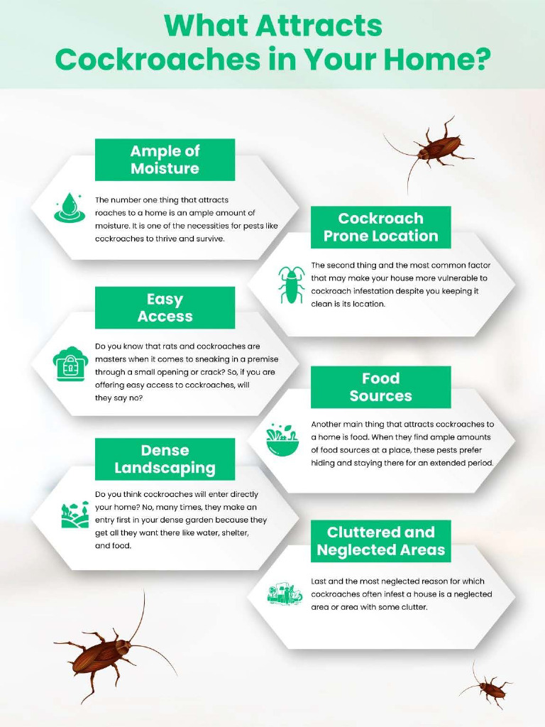 what-attracts-cockroaches-in-your-home | PDF