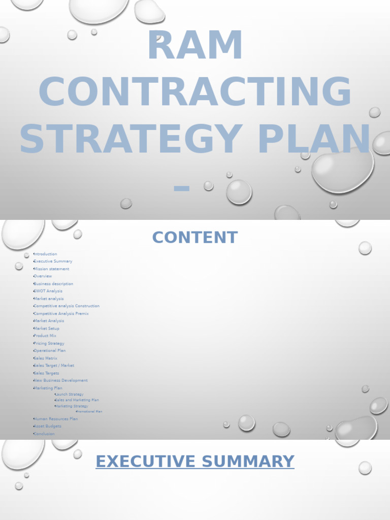 Ram Business Plan - 2024 | PDF | Marketing | Digital Marketing