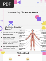 Overview of the Circulatory System | PDF | Blood Vessel | Heart
