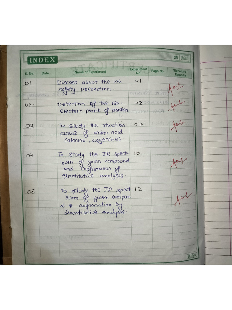 Dse 1 Practical File | PDF