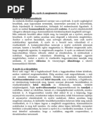Redmenta Kisokos | PDF