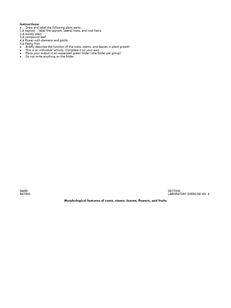 Laboratory Exercise No. 4 | PDF