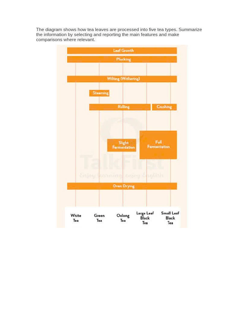 Tea Processing into Five Types | PDF