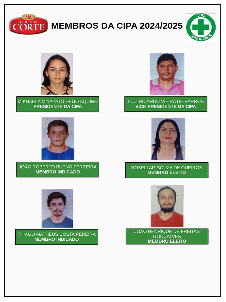 Membros Da CIPA 2024.2025 | PDF