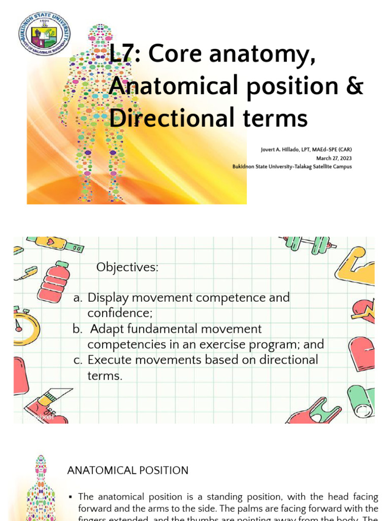 Anatomy Directional Terms Explained | PDF | Anatomical Terms Of ...