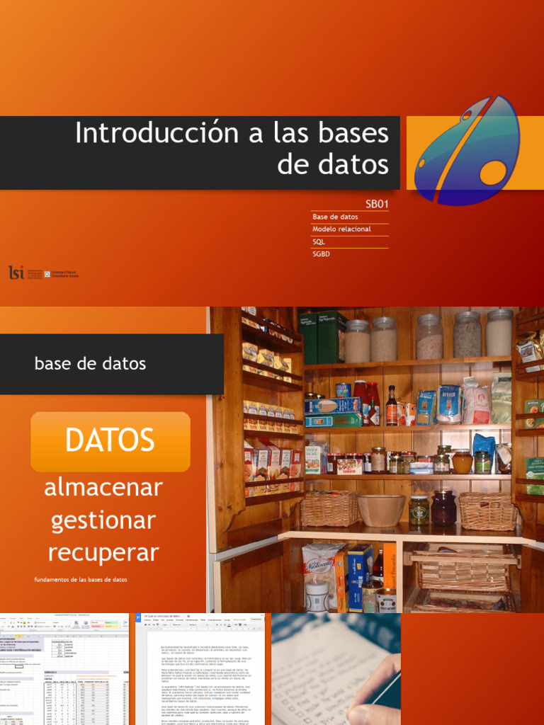 SB01 Intro | PDF | Bases de datos | Gestión de tecnología de la información