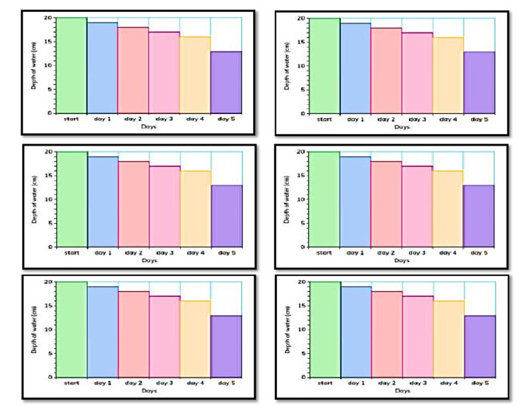 Cw.16!1!24 Looking at Bar Chart | PDF