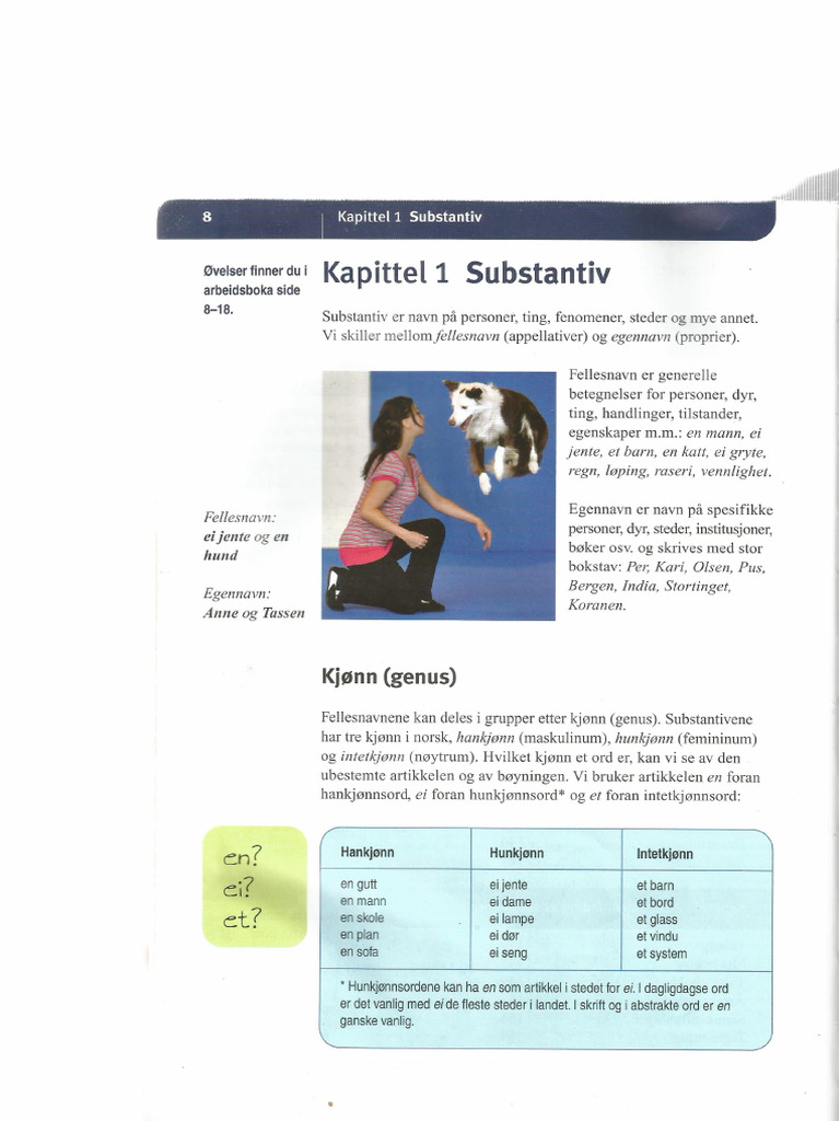 Norsk Grammatikk 1 | PDF