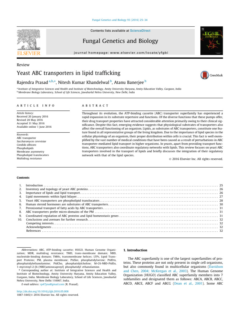 ABC Transporters in Yeast and Lipid Trafficking | PDF | Cell Membrane ...