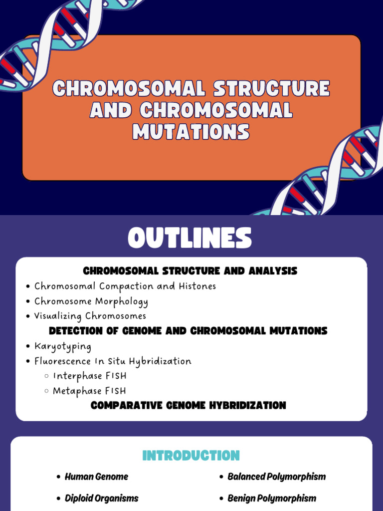 Chromosomal-Structure-and-Chromosomal-Mutations-1 | PDF | Fluorescence ...
