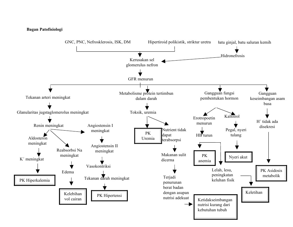 Pathway CKD | PDF