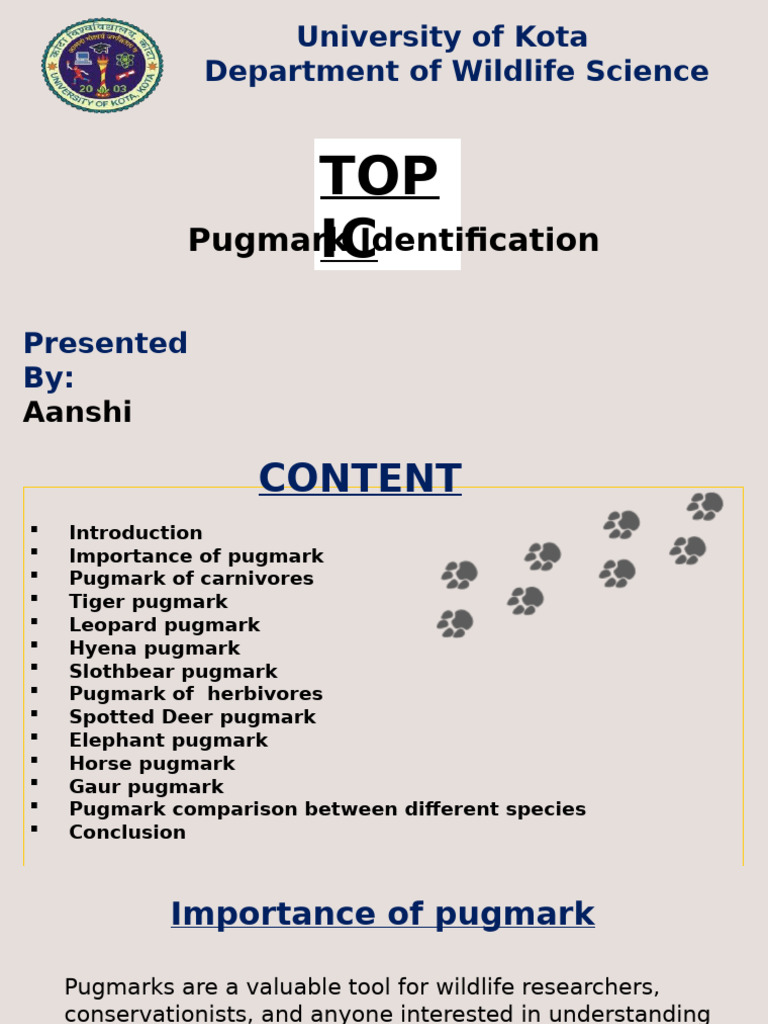 Pugmark Identification | PDF | Tiger | Zoology