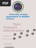 Pugmark Identification Guide | PDF | Tiger | Zoology