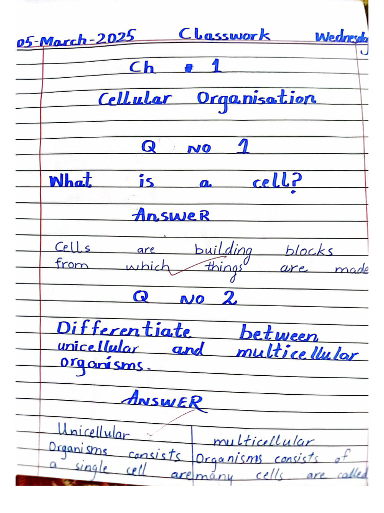 Grade 6 Science PDF | PDF