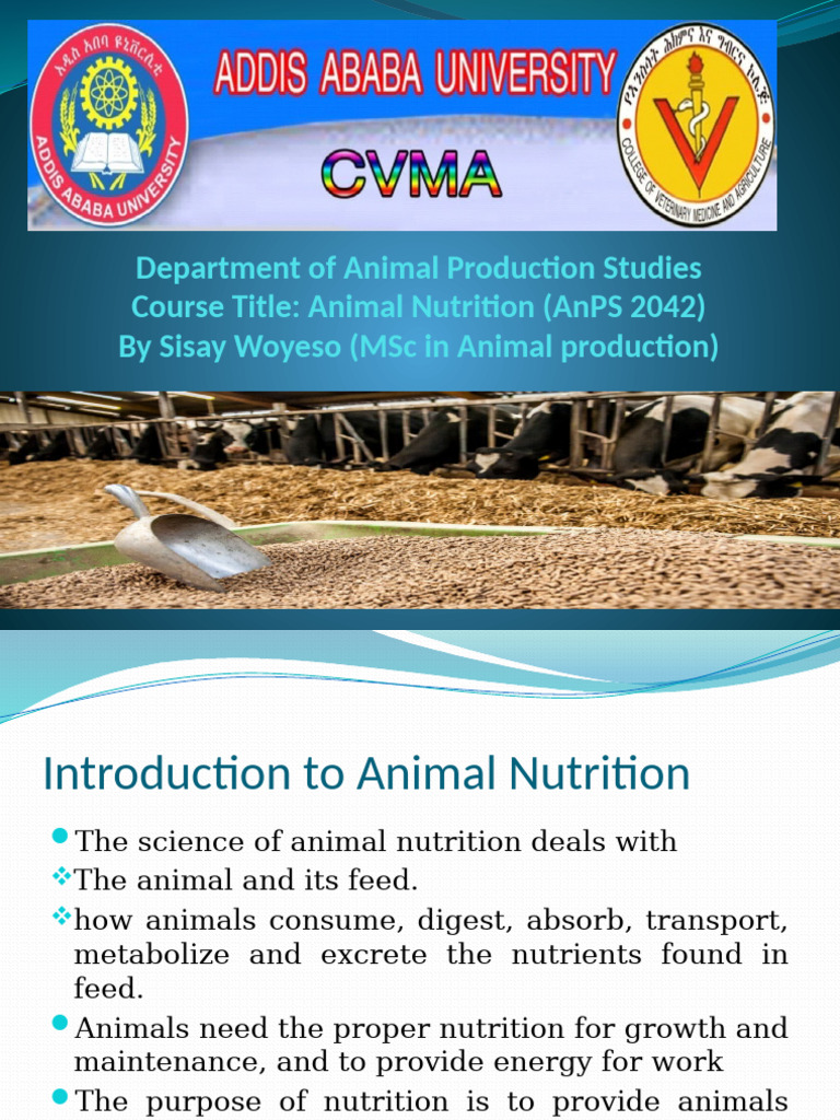 Introduction To Animal Nutrition | PDF | Nutrition | Diet & Nutrition