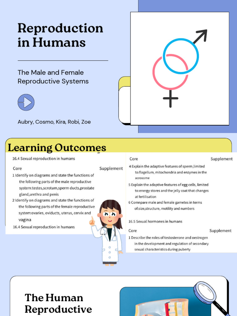 Understanding Human Reproduction Education Presentation in Blue Yellow ...