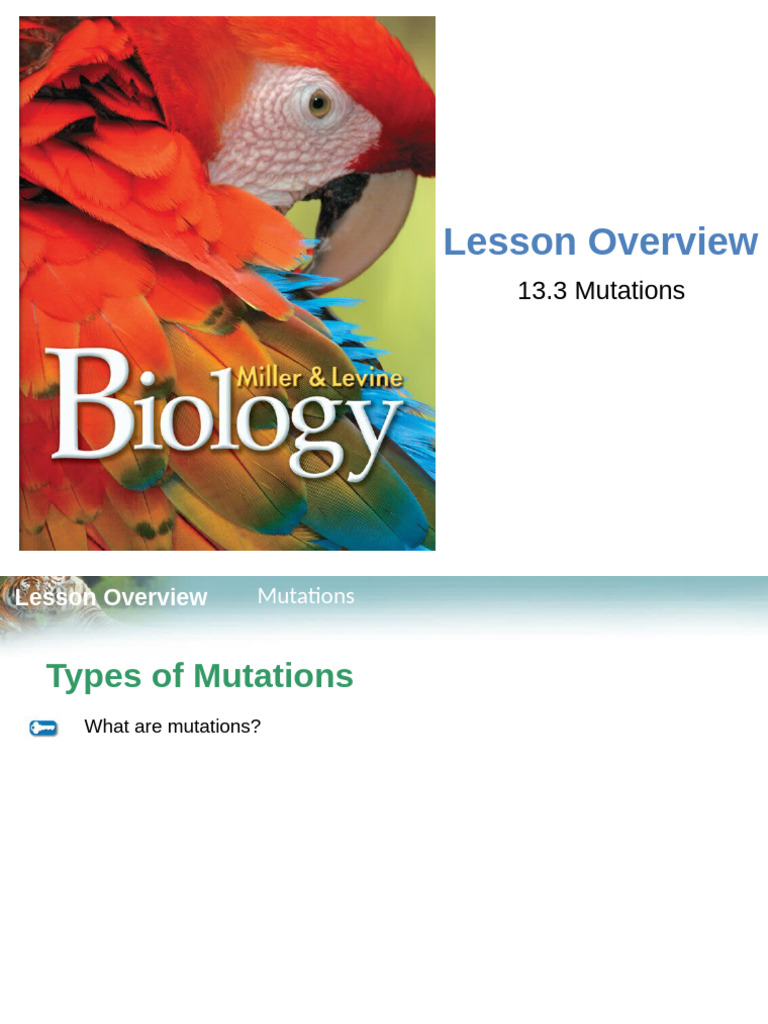 Mutations | PDF | Mutation | Point Mutation
