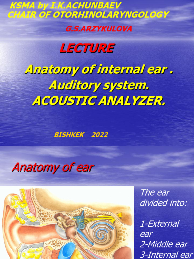 Lecture - Anatomy of Ear. Auditory System | PDF | Auditory System | Ear
