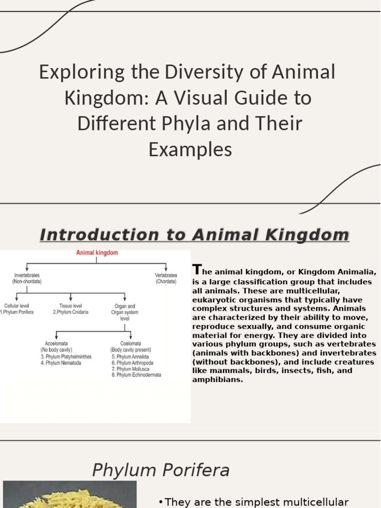 slidesgo-exploring-the-diversity-of-animal-kingdom-a-visual-guide-to ...