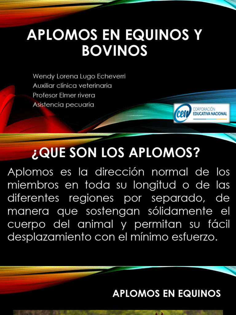Aplomos en Equinos y Bovinos: Guía Completa | PDF | Rodilla | Caballos