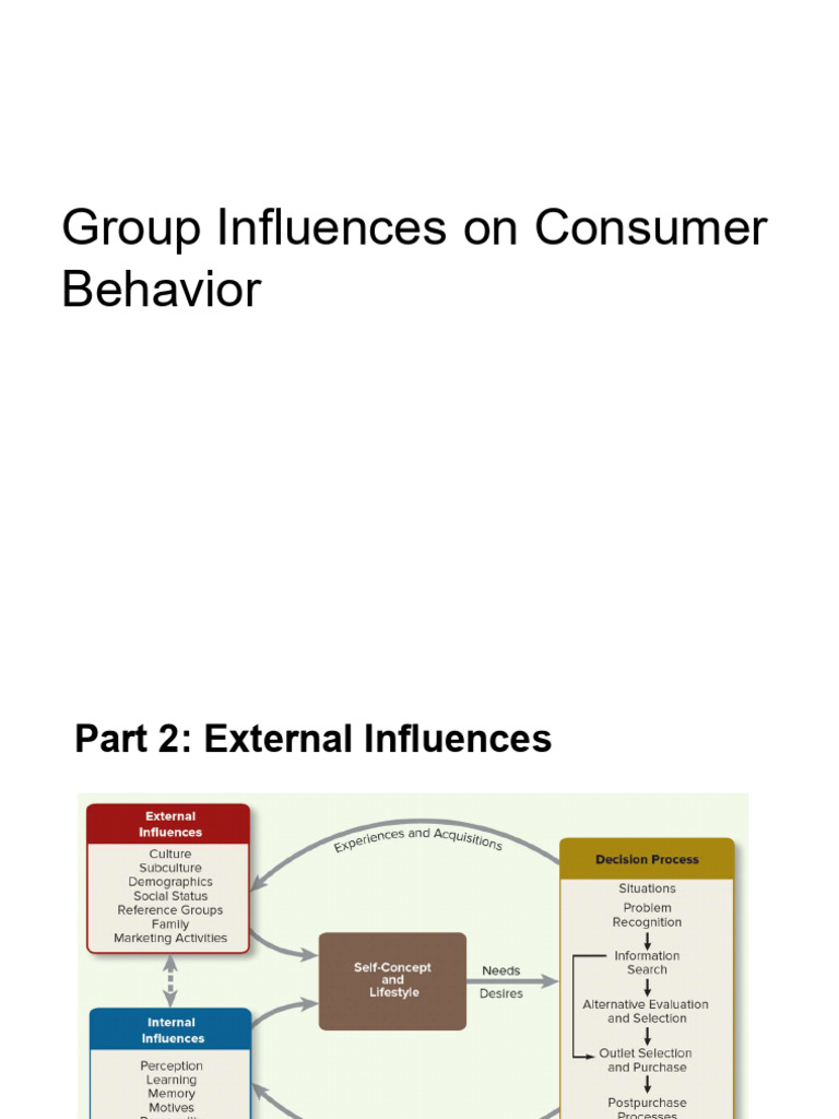 Group Influences On Consumer Behavior | PDF | Brand | Innovation