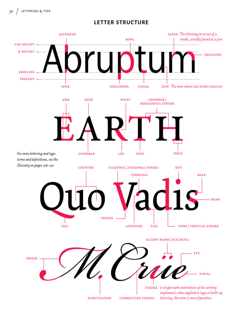 Anatomy Terms Construction | PDF | Serif | Typefaces