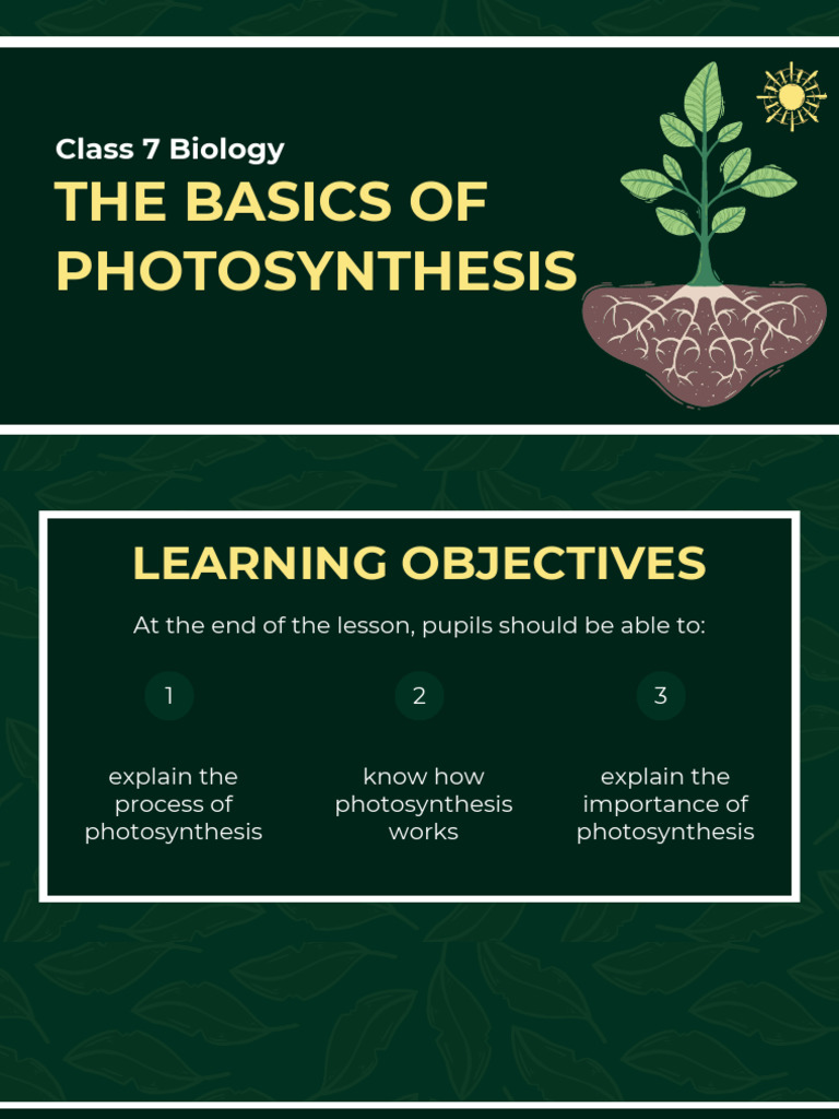 The Basics of Photosynthesis in Plants Educational Presentation in ...