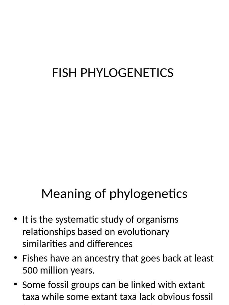 Fish Phylogenetics 17-18 | PDF | Elasmobranchii | Fish